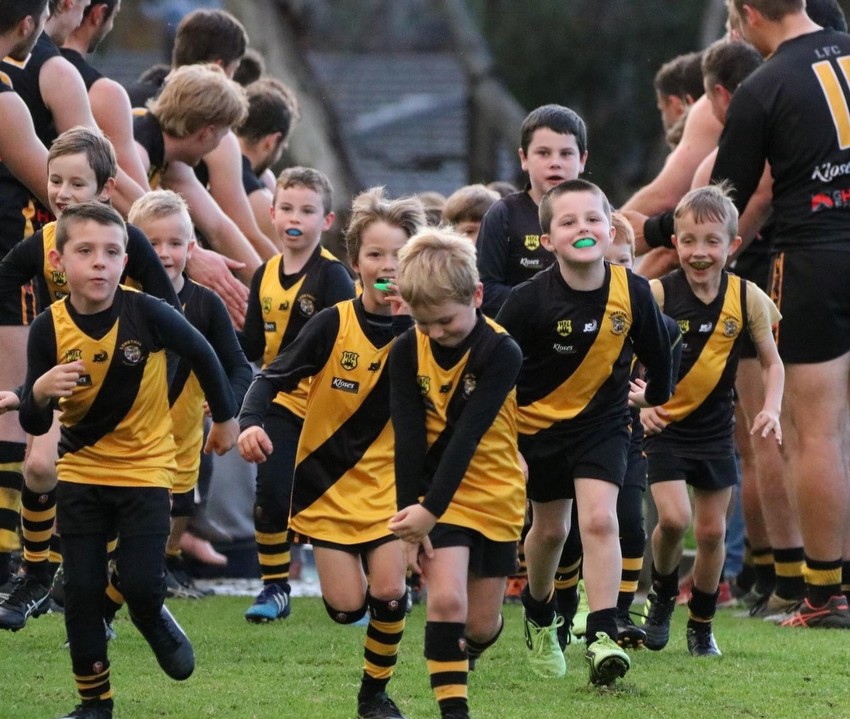 Lobethal Tigers - DIY Big Freeze 8